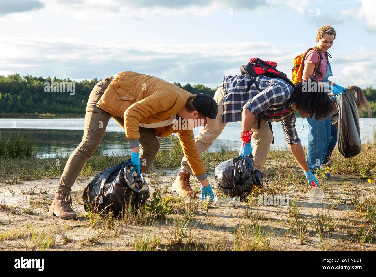 Unity for Nature: Multicultural Volunteers Cleaning the Forest Stock ...