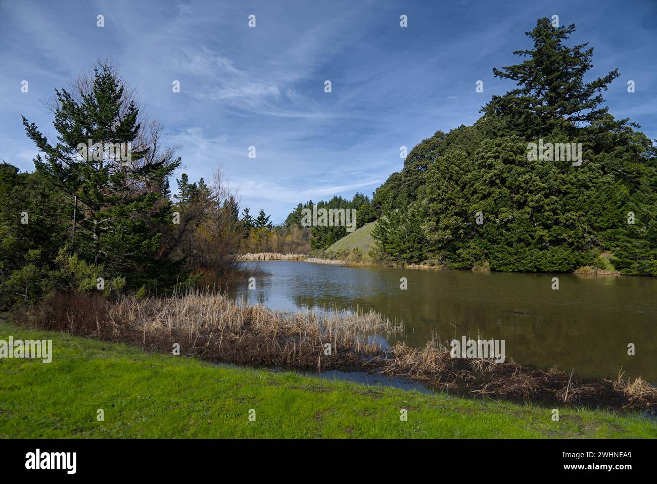 Horseshoe lake in Skyline Ridge Open Space, California Stock Photo - Alamy