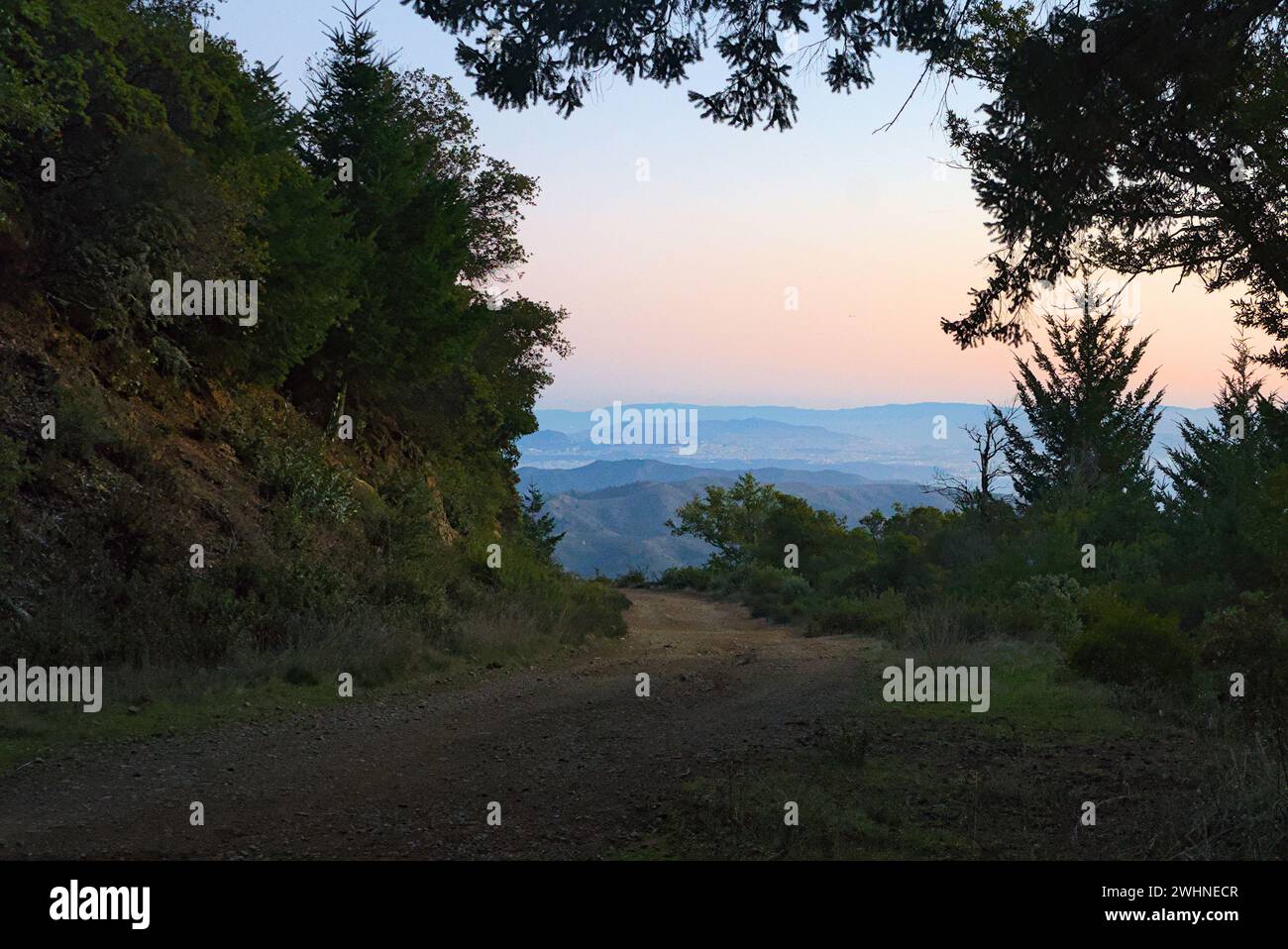 The view of the San Francisco Bay from the hiking trail Stock Photo - Alamy