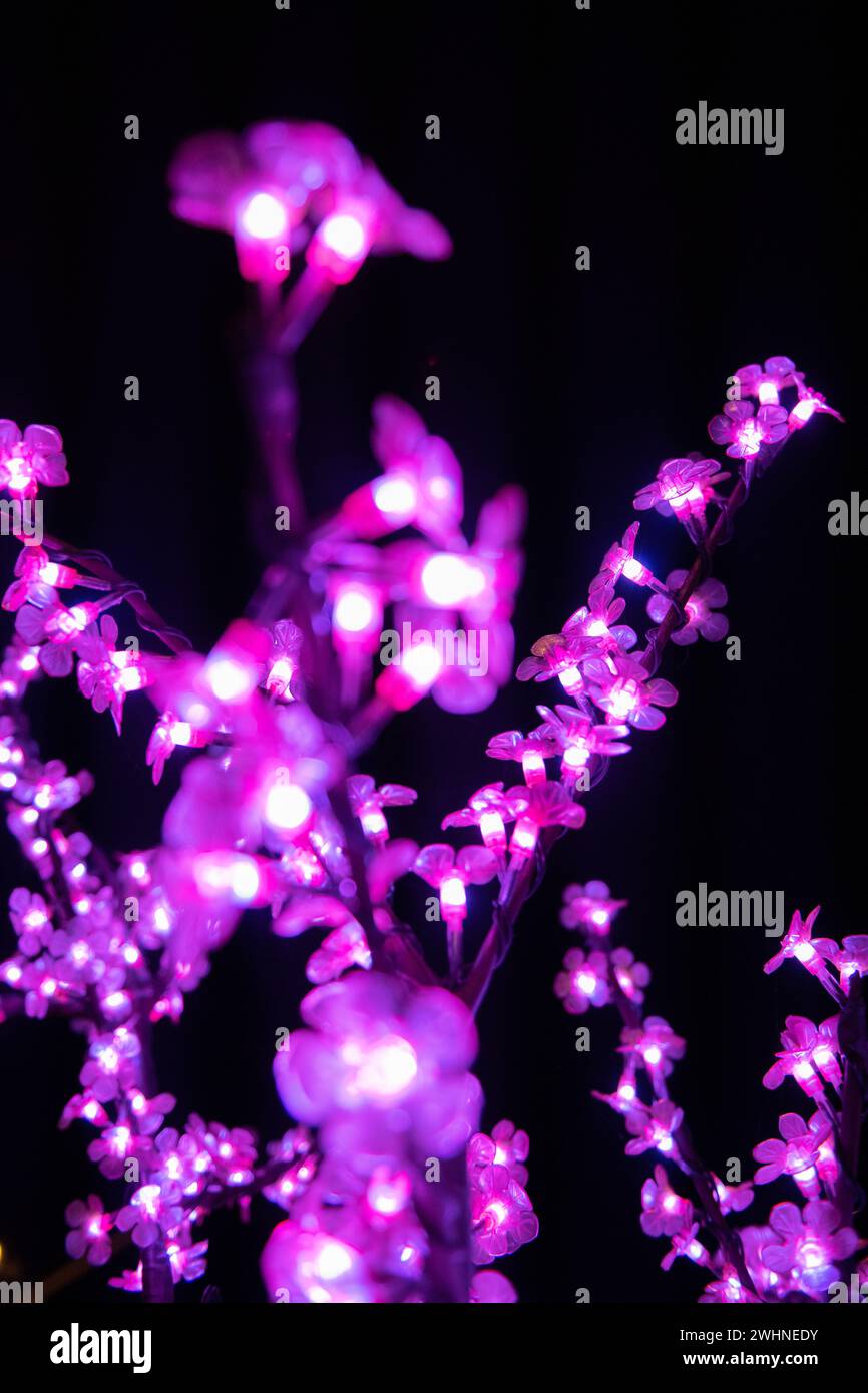 Tree branches iluminated by Christmas lights Stock Photo - Alamy