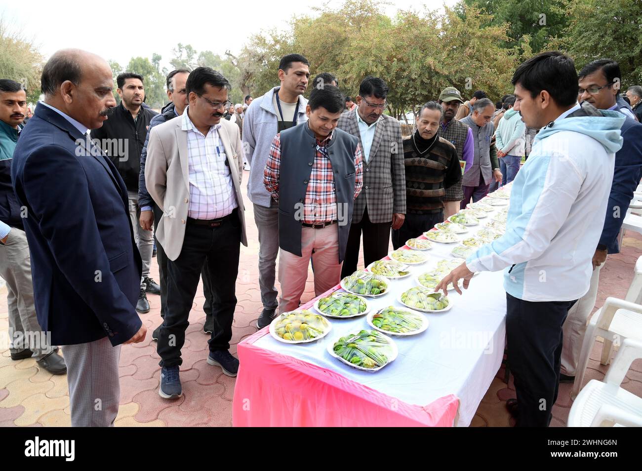 Bikaner, Rajasthan, India. 8th Feb, 2024. Ber field day and technology ...