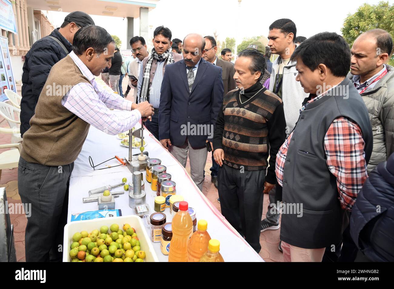 Bikaner, Rajasthan, India. 8th Feb, 2024. Ber field day and technology ...