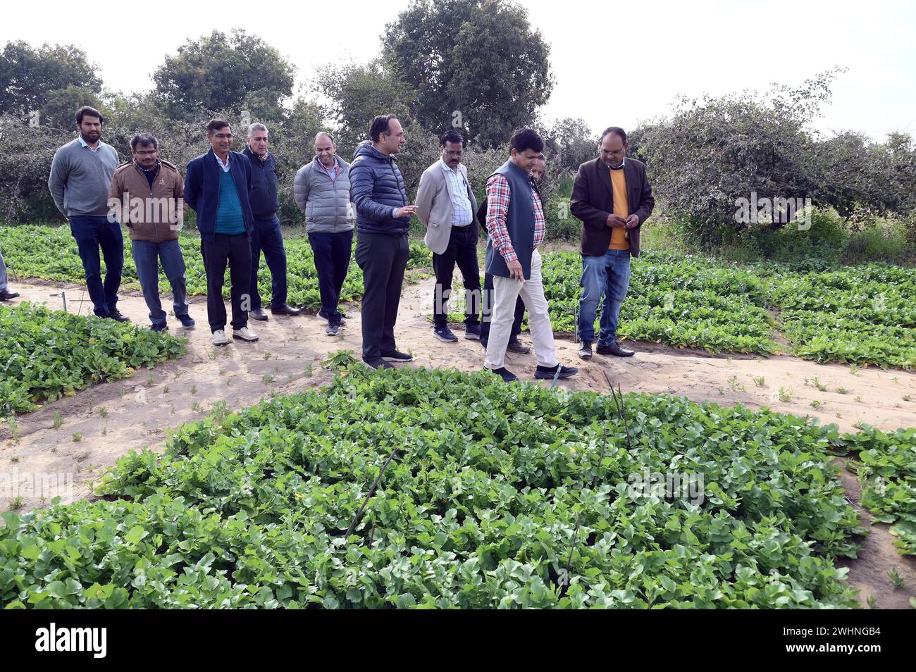 Bikaner, Rajasthan, India. 8th Feb, 2024. Ber field day and technology ...