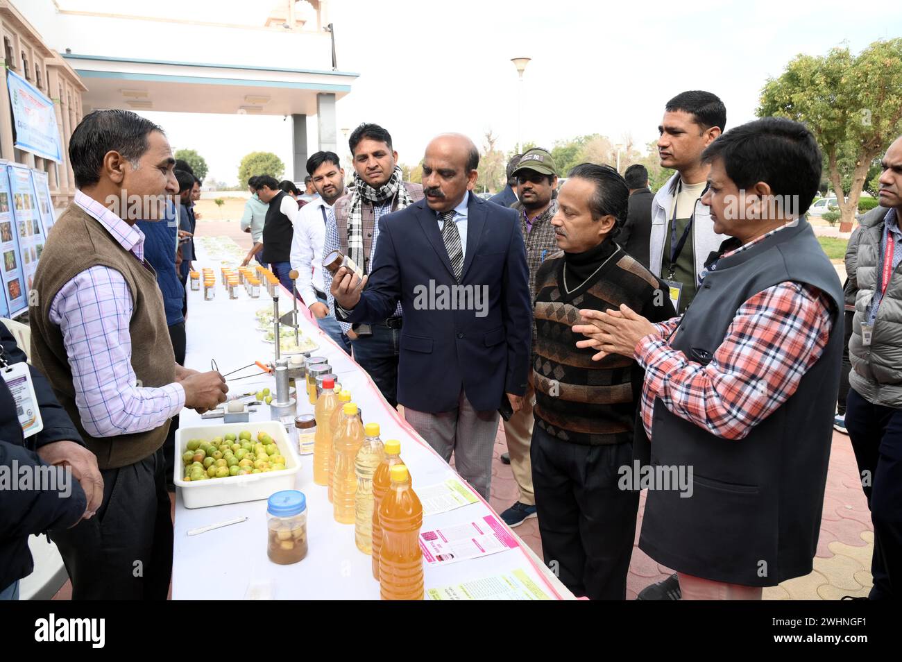 Bikaner, Rajasthan, India. 8th Feb, 2024. Ber field day and technology ...