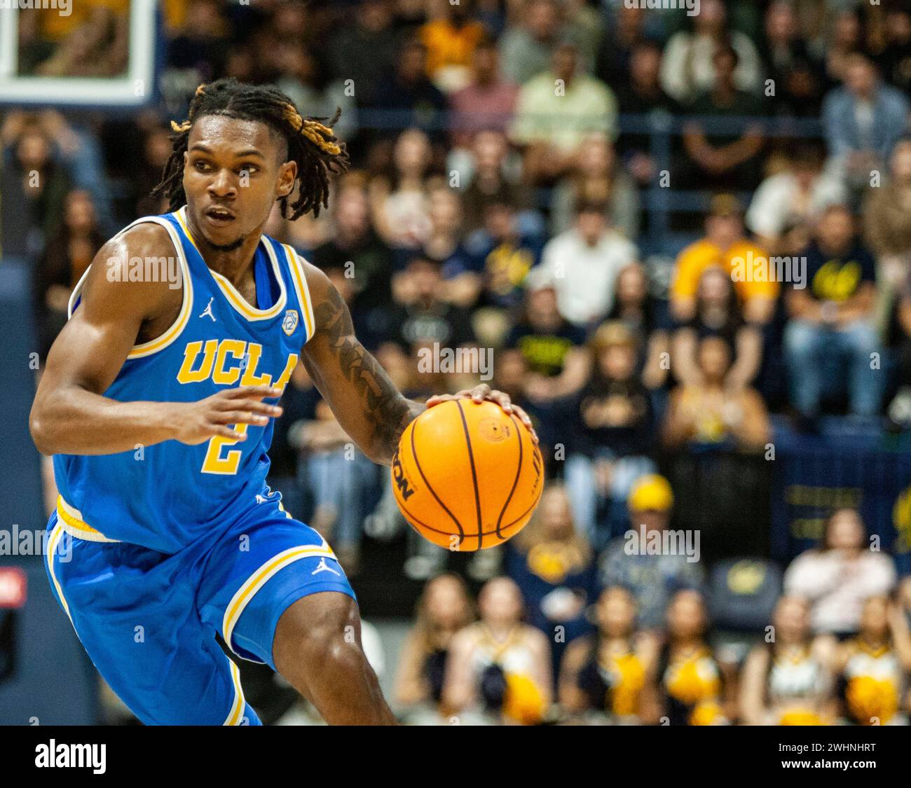 Dylan andrews hi-res stock photography and images - Alamy