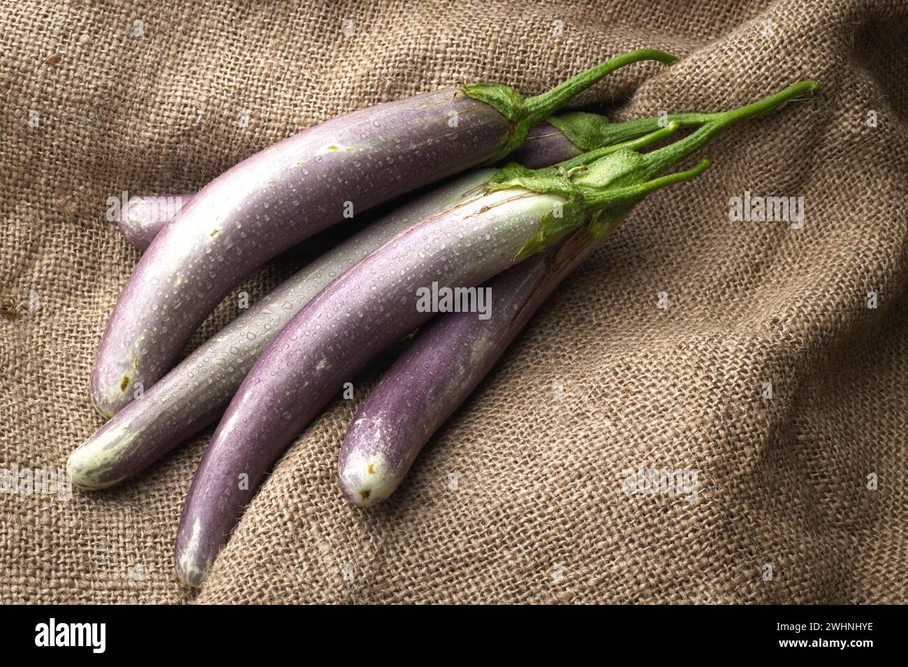 Still life photo of long eggplants Stock Photo - Alamy