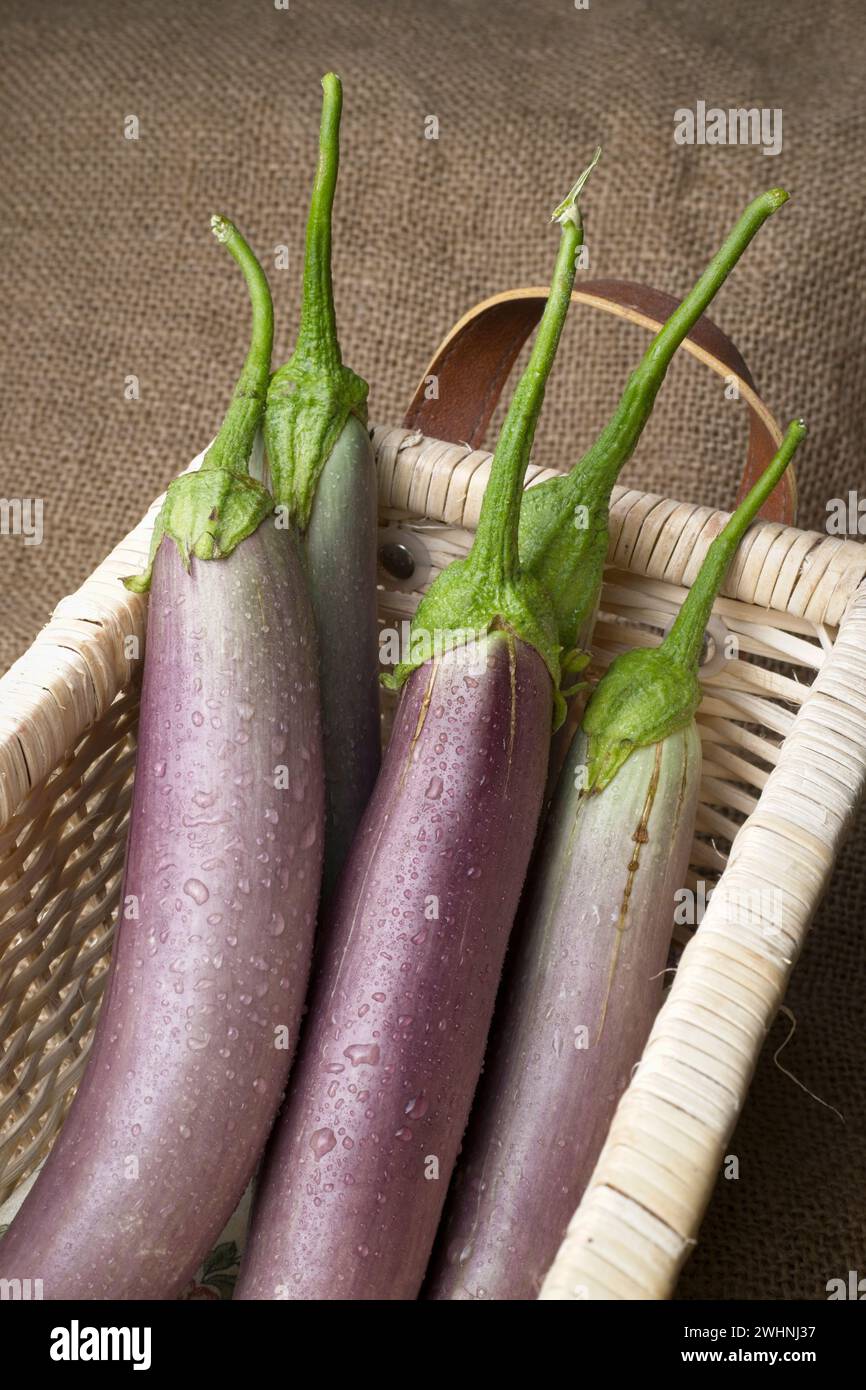 Still life heap long hi-res stock photography and images - Alamy