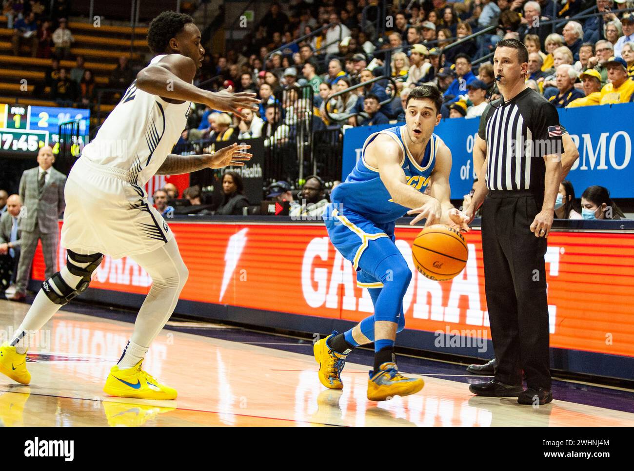 2024 0052 jpg hi-res stock photography and images - Alamy