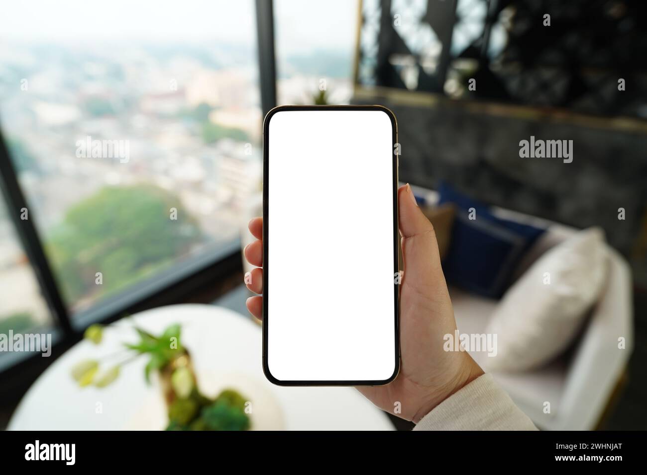 Close up of women's hands holding cell telephone blank copy space ...