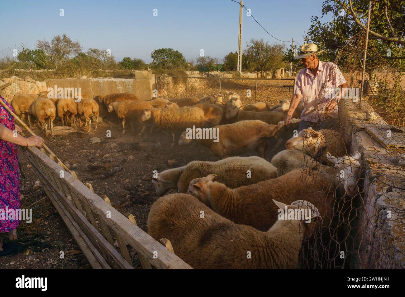 Ganaderia tradicional hi-res stock photography and images - Alamy
