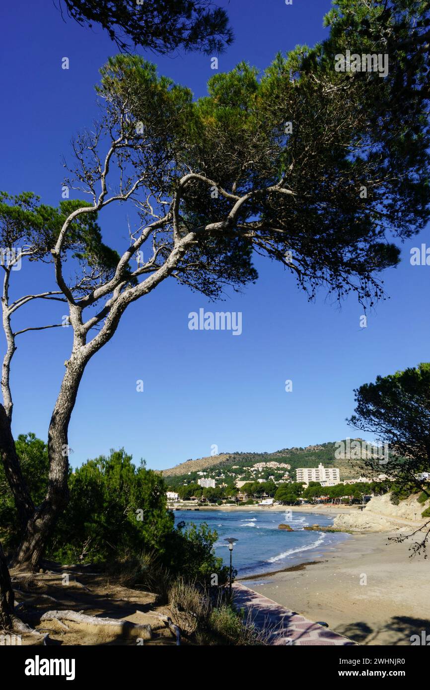 Peguera hi-res stock photography and images - Alamy