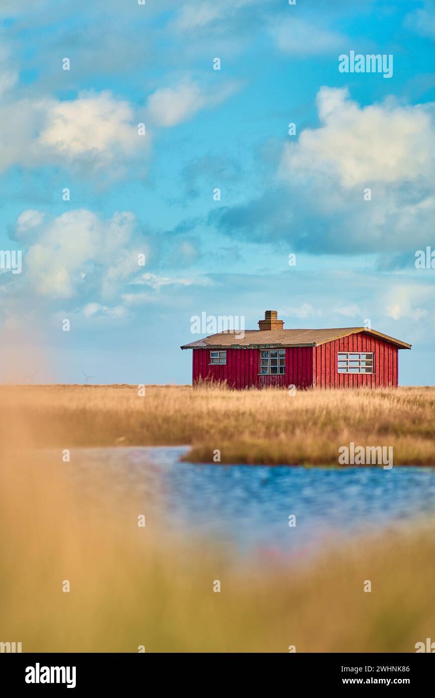 Red hut at the sea in Denmark Stock Photo - Alamy