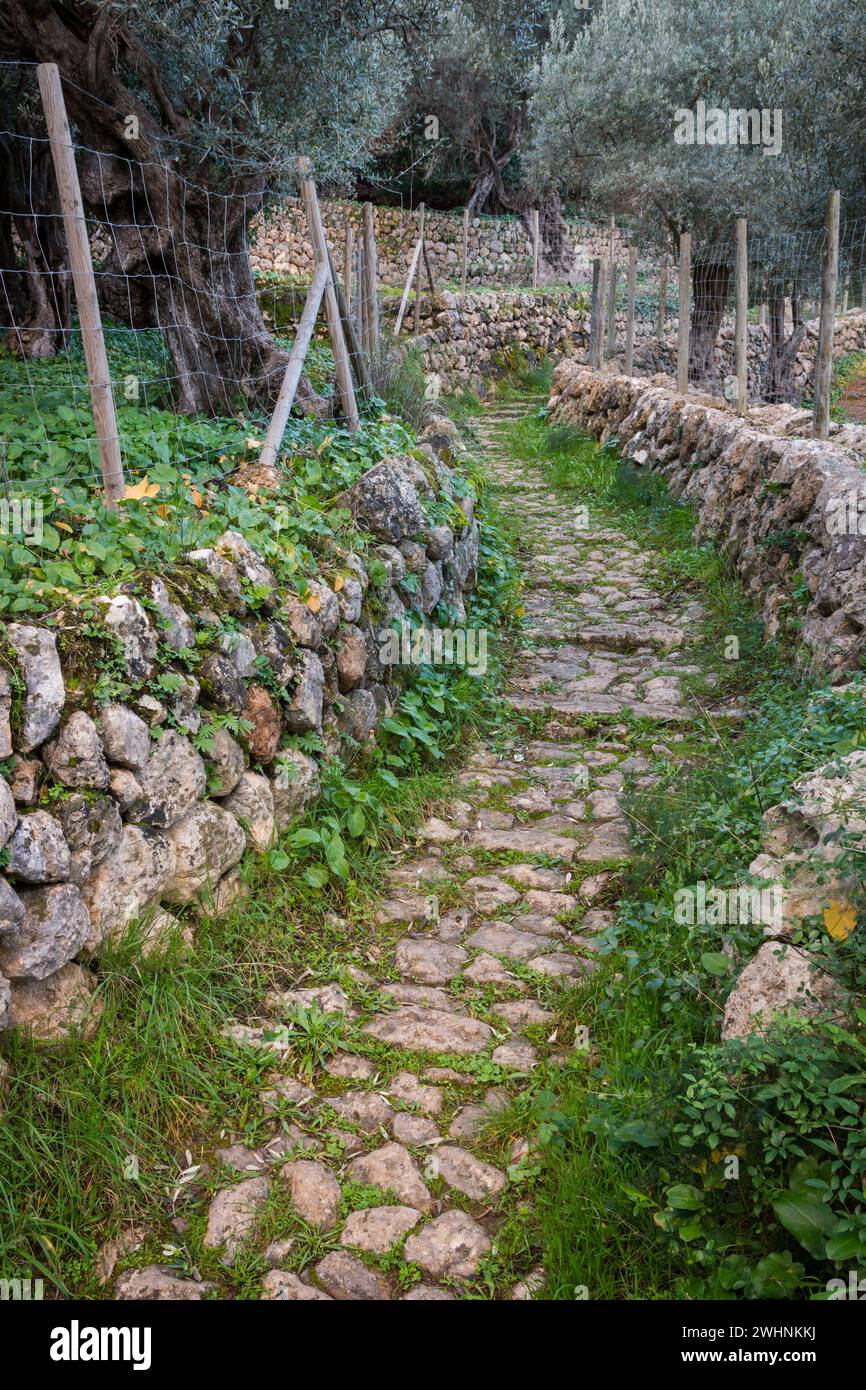 Cami de Rocafort Stock Photo - Alamy