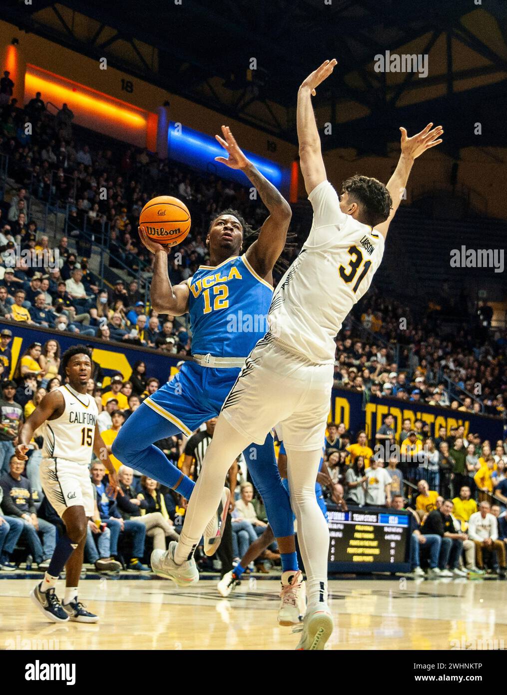 2024 0255 jpg hi-res stock photography and images - Alamy