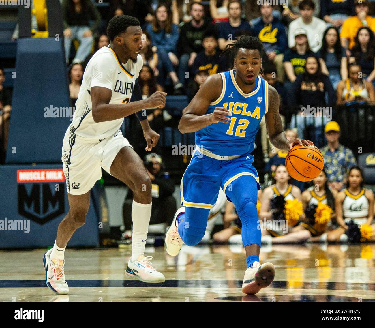 2024 0350 jpg hi-res stock photography and images - Alamy