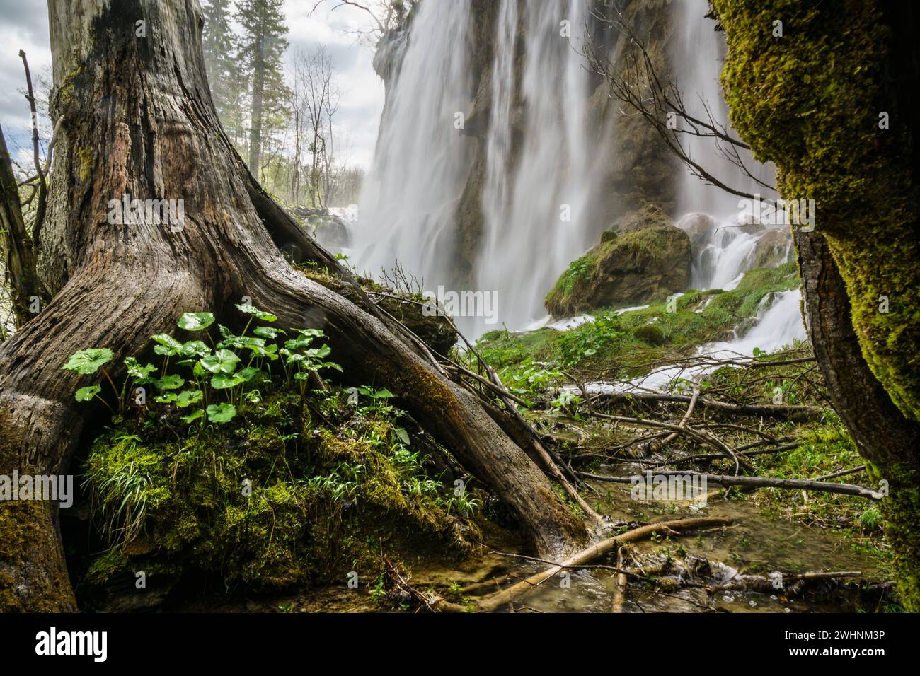 Parque Nacional de los Lagos de Plitvice Stock Photo - Alamy