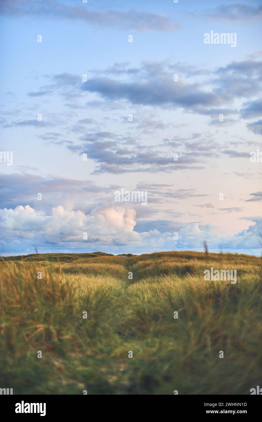 Wide path or pathway hi-res stock photography and images - Alamy