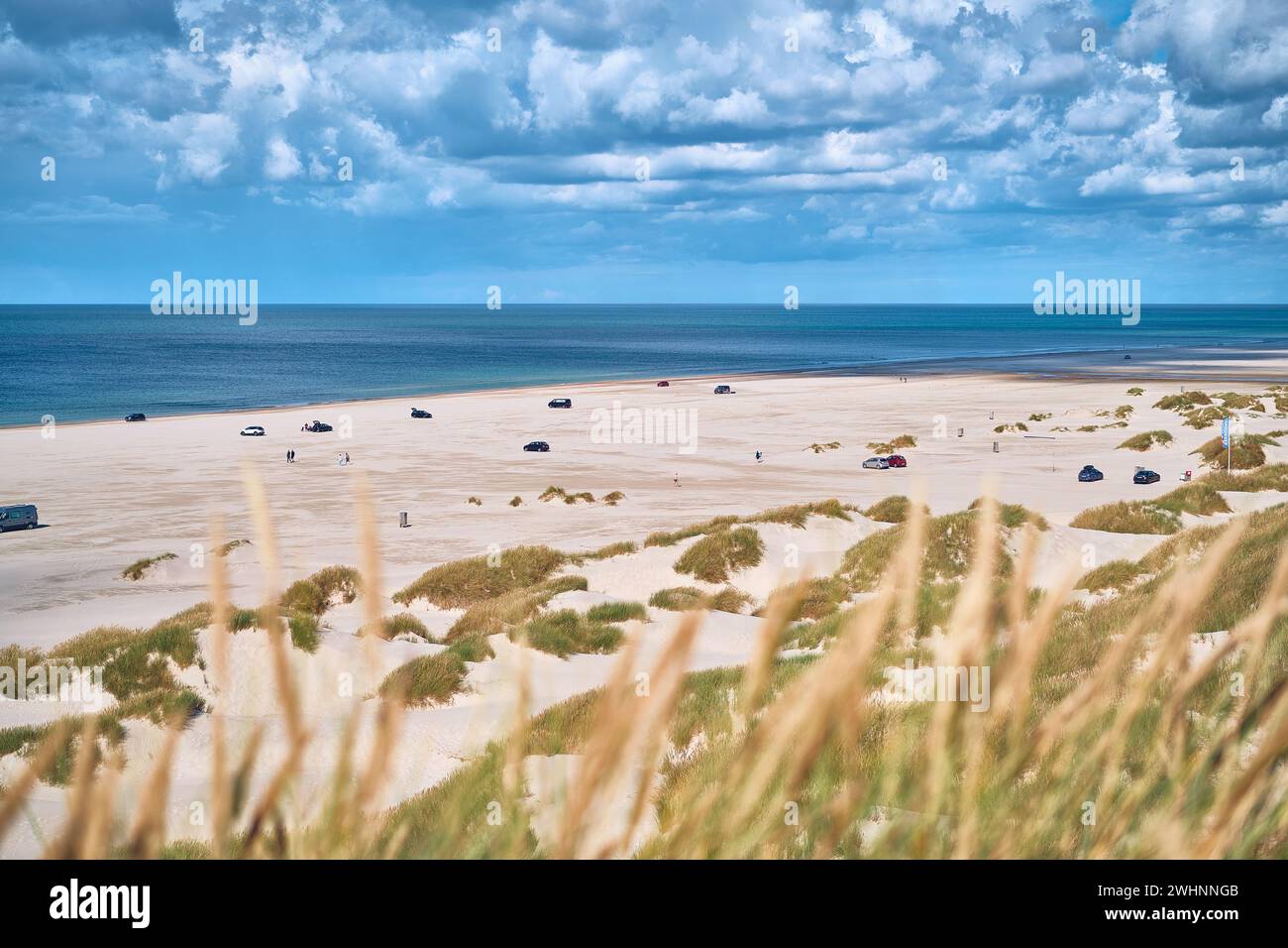 Cars at the beach at Saltum Strand in Denmark Stock Photo - Alamy