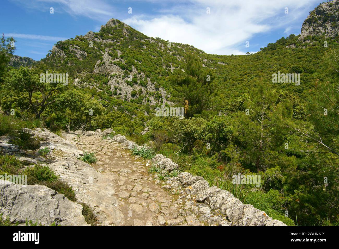 Camino de Es Tossals Verds al Coll des Coloms. Sendero de gran ...