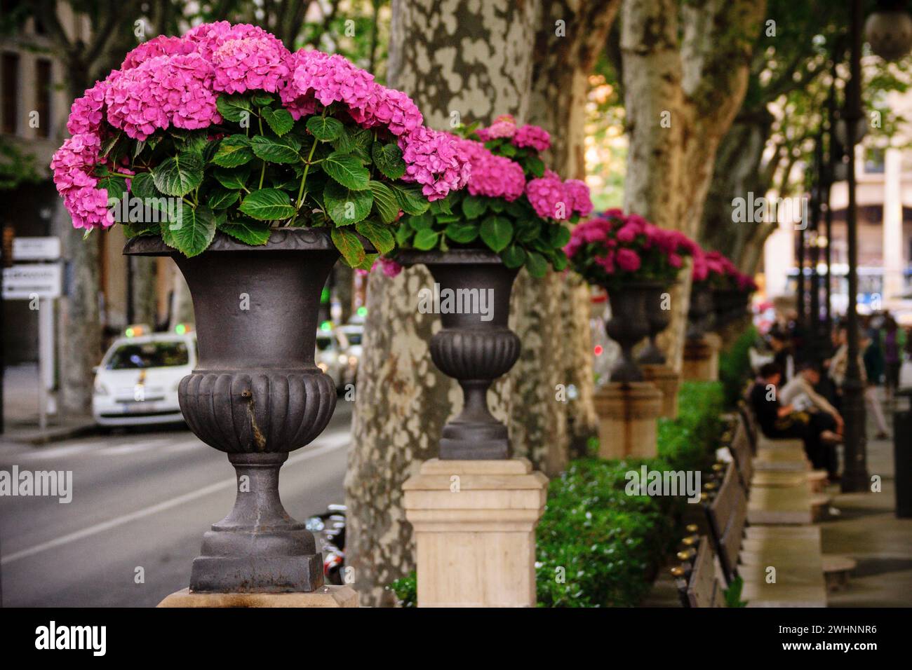 Paseo del Born -Passeig del Born Stock Photo - Alamy