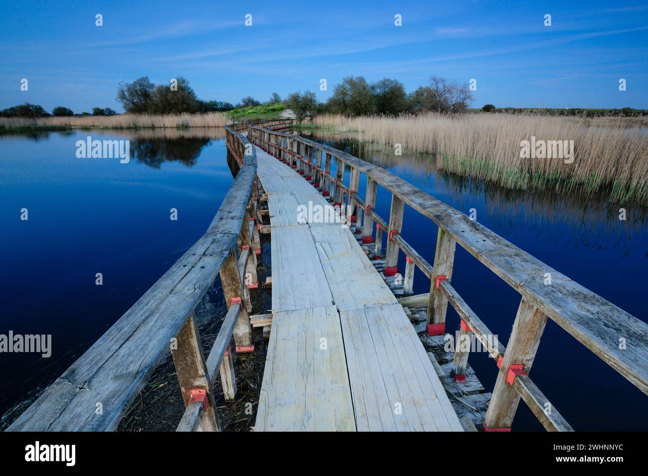 Parque nacional Tablas de Daimiel Stock Photo - Alamy
