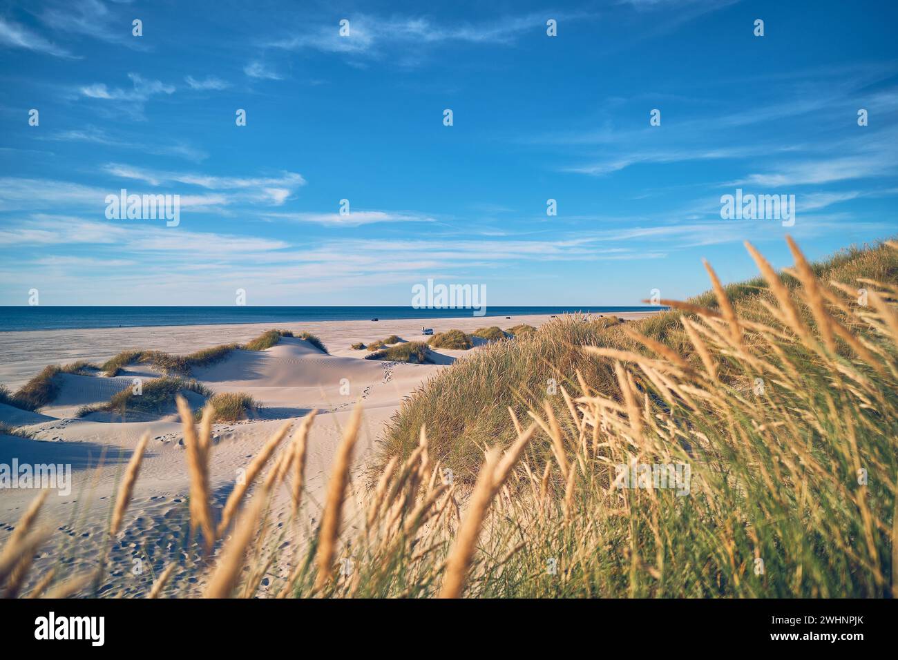 Sunshine at danish beach Stock Photo - Alamy