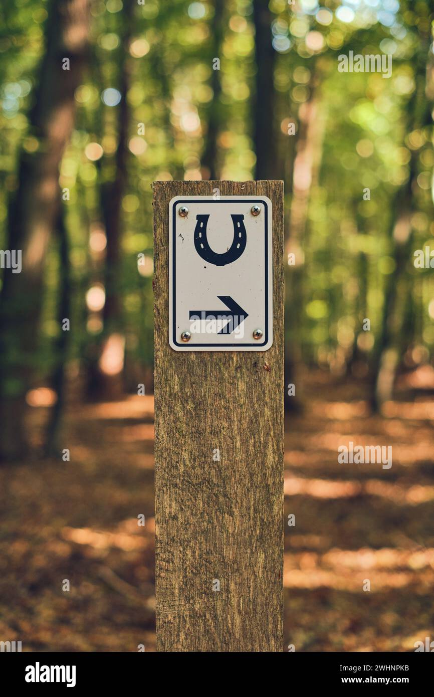 Riding path sign in the woods Stock Photo - Alamy