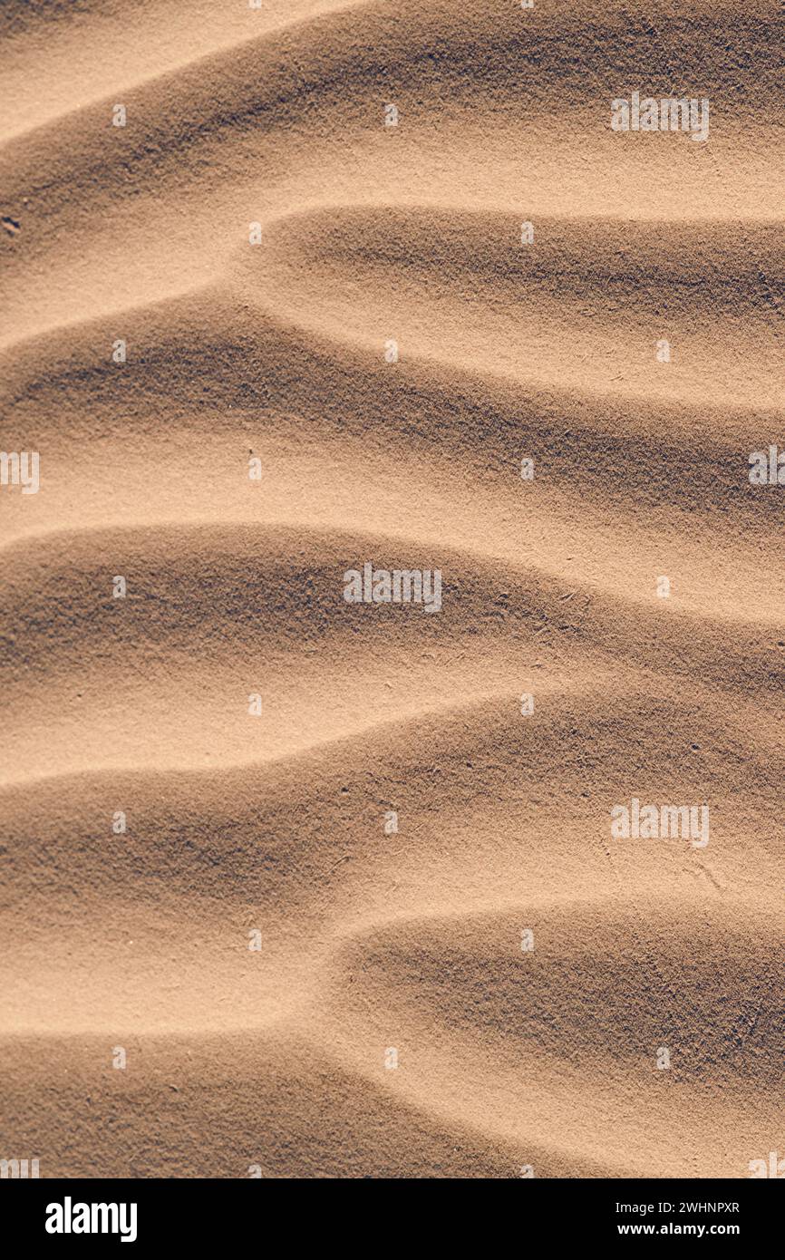 Sand waves formed by wind at the beach Stock Photo - Alamy
