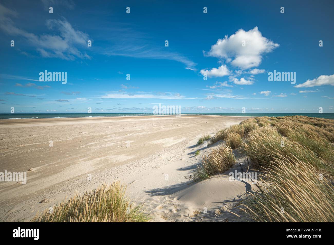 Beach at Skagen, the top of Denmark Stock Photo - Alamy