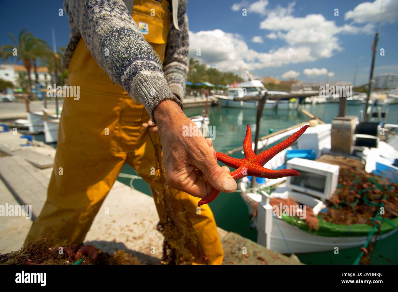 Pesca tradicional.Puerto de Sant Antoni.Ibiza.Illes Balears.EspaÃ±a ...