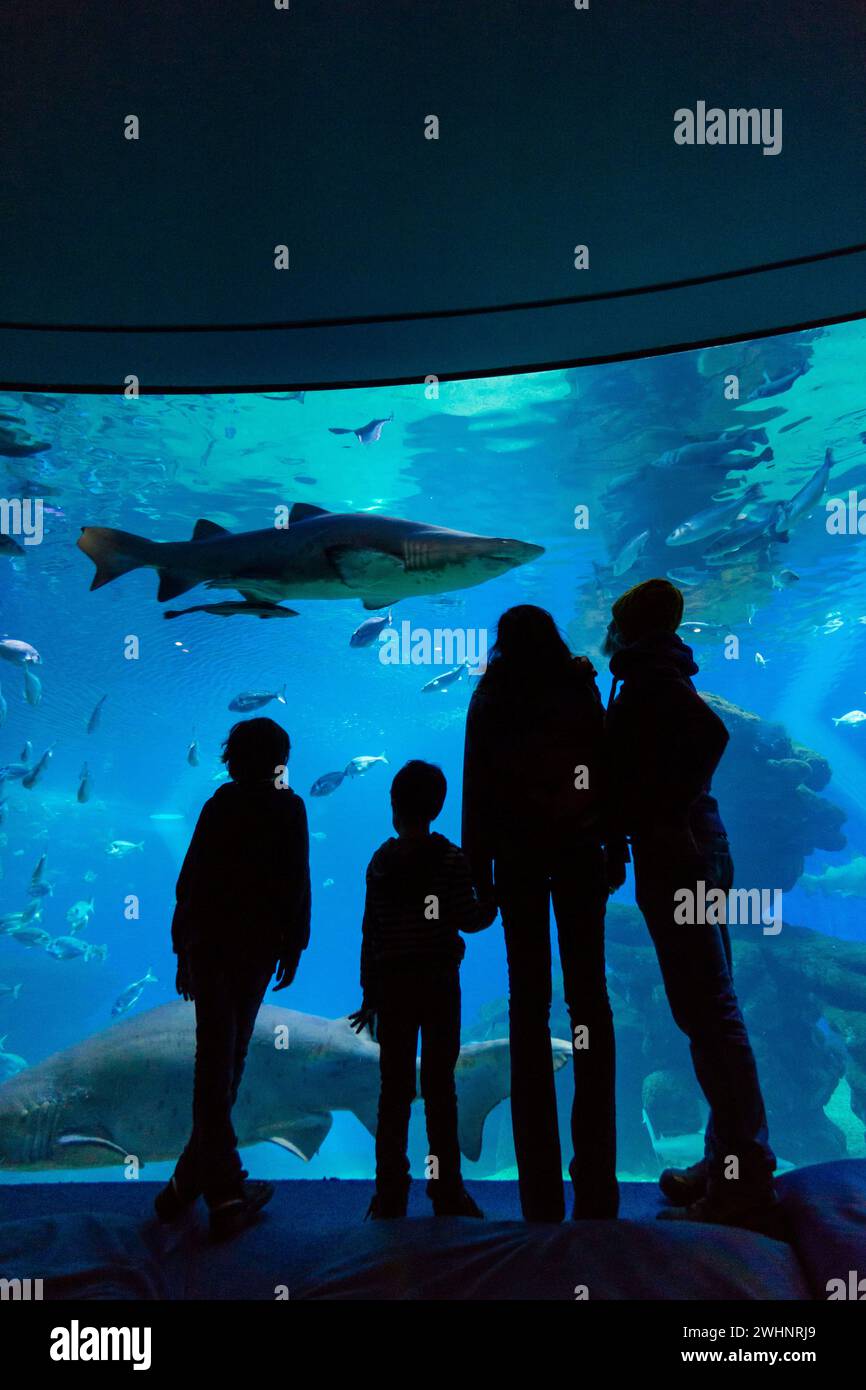 Majorca palma aquarium hi-res stock photography and images - Alamy