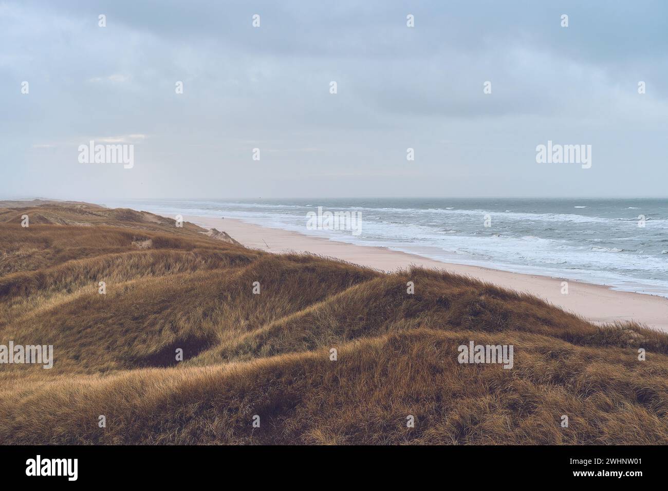 Coastline danish west coast hi-res stock photography and images - Alamy
