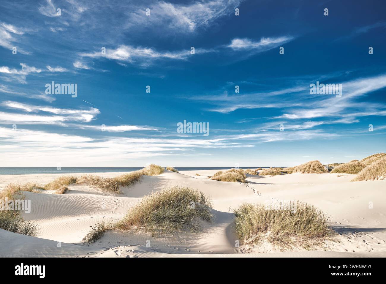 White sands of northern Denmark Stock Photo - Alamy