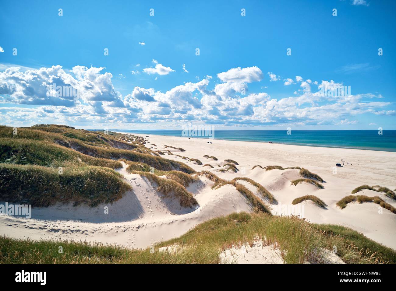 Bright white beach in northern Denmark Stock Photo - Alamy