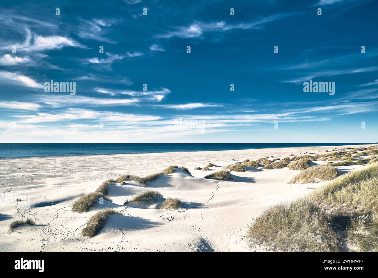 Wide White sand dunes in northern Denmark Stock Photo - Alamy