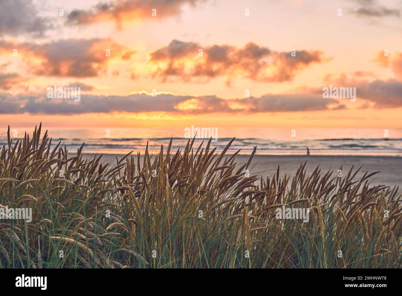 Sunset at the danish coast at Saltum Strand Stock Photo - Alamy