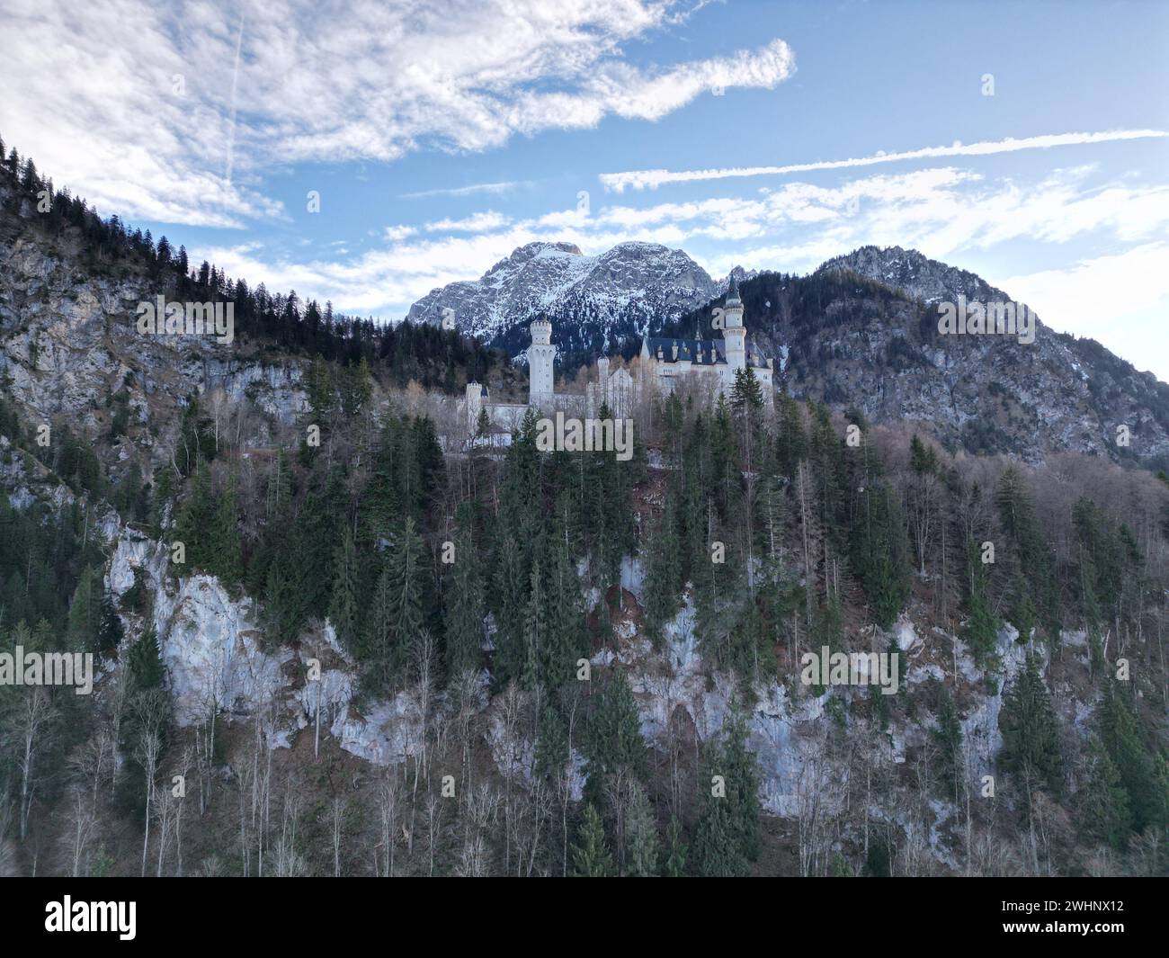 A beautiful view of the Neuschwanstein castle in Schwangau, Germany ...