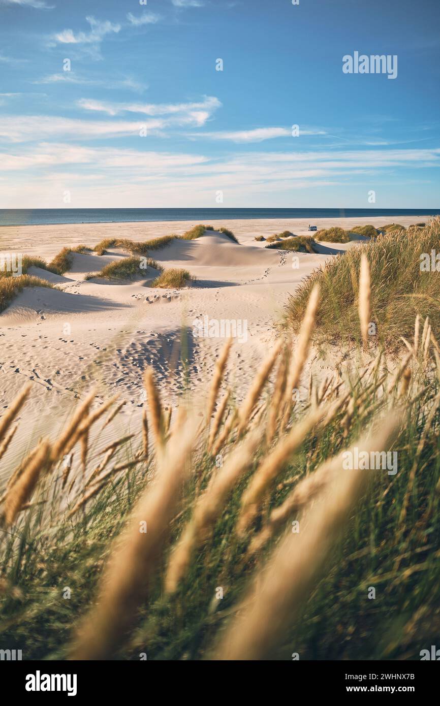 Coastal Landscape in northern Denmark Stock Photo - Alamy