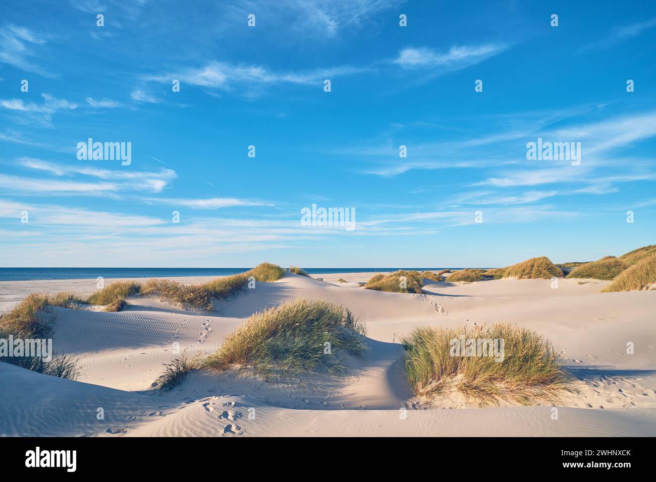 Wide sand beach in northern Denmark Stock Photo - Alamy