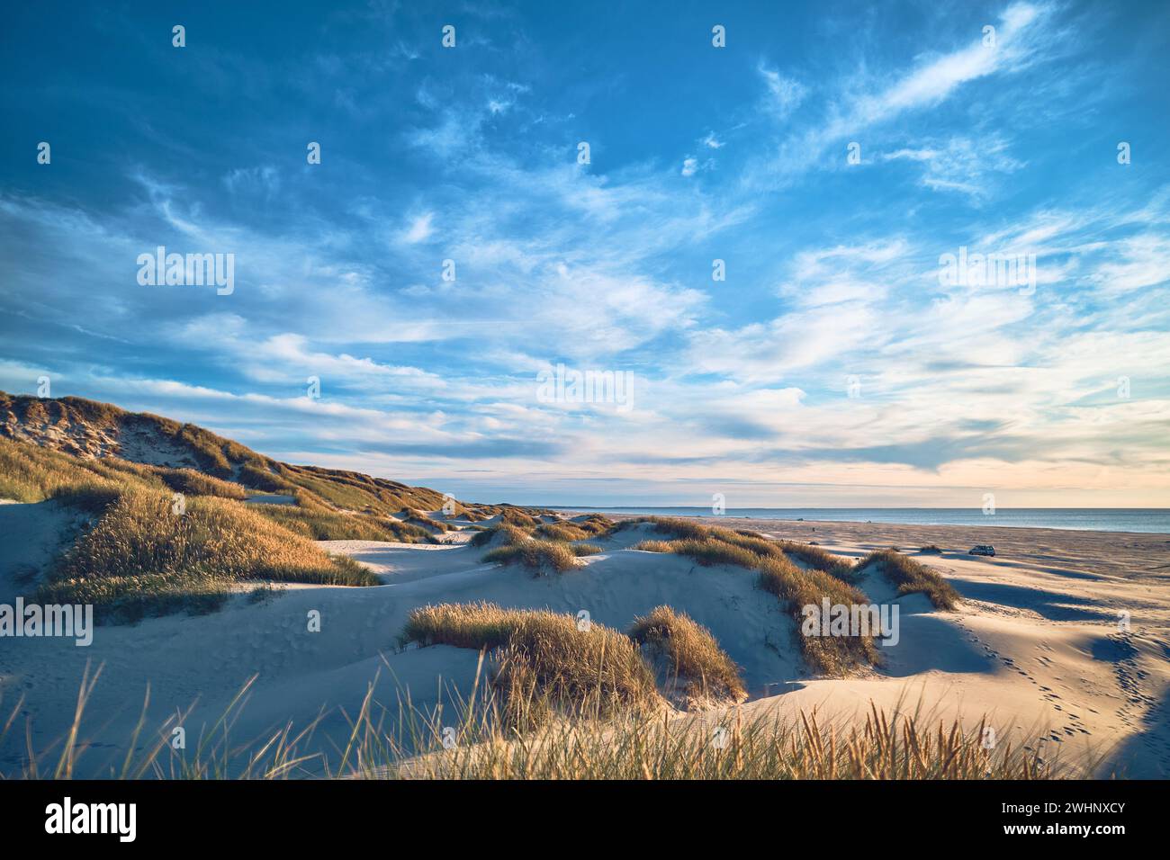 Danish shore hi-res stock photography and images - Alamy