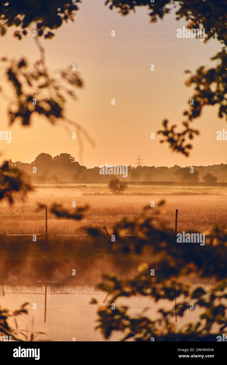Mist over Fields in golden morning light Stock Photo - Alamy