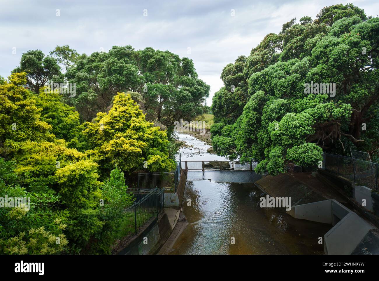Wairua creek hi-res stock photography and images - Alamy