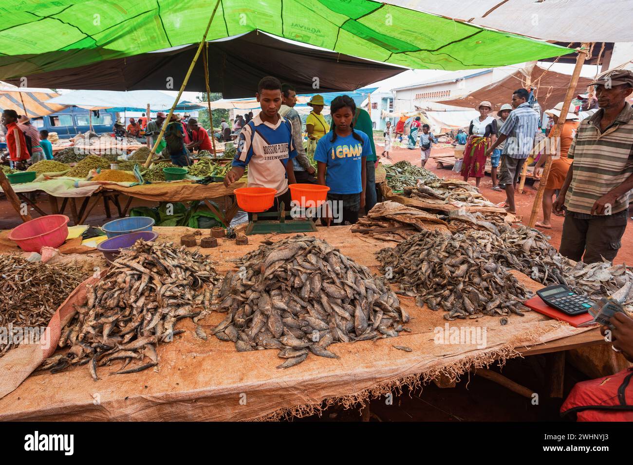 Mandoto, Madagascar - November 9. 2022 - Malagasy man buys dried fish ...