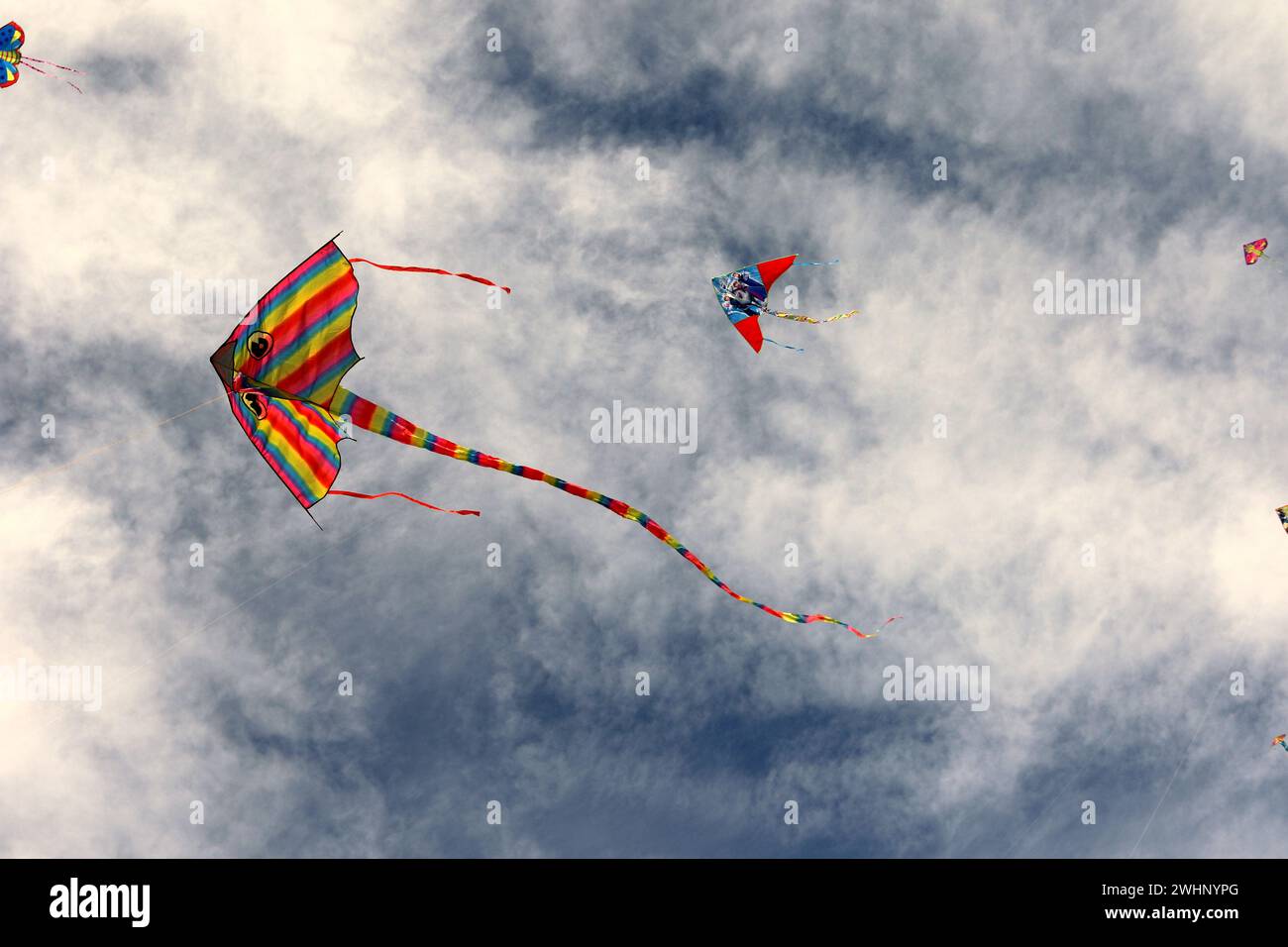 Kite flying in the air Stock Photo - Alamy