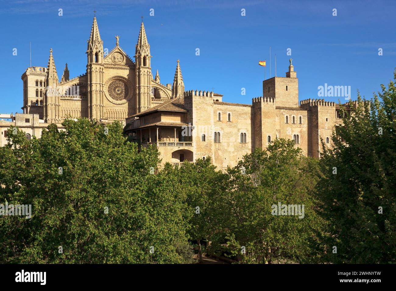 Catedral catedral hi-res stock photography and images - Alamy