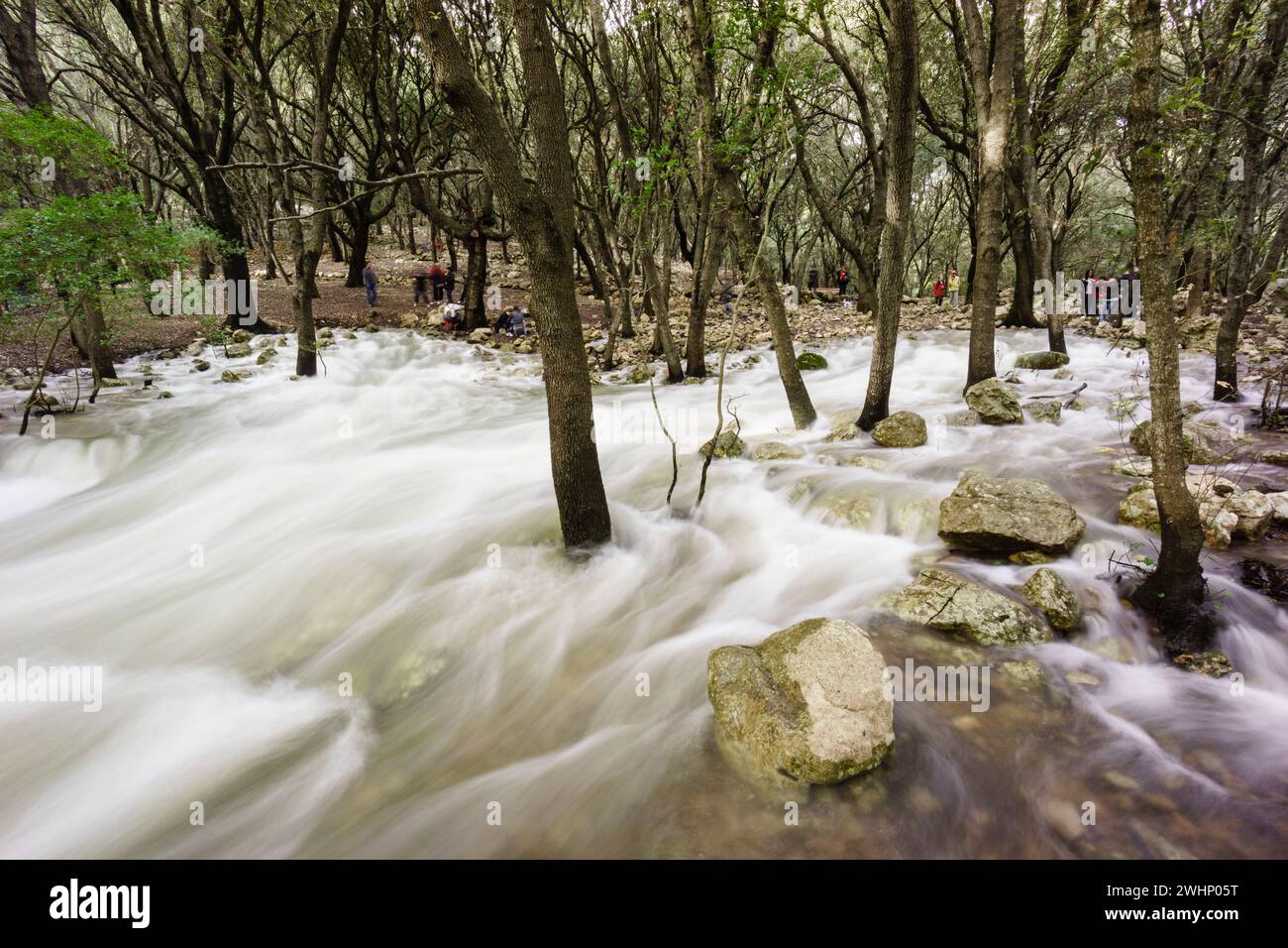 Curso de agua intermitente hi-res stock photography and images - Alamy