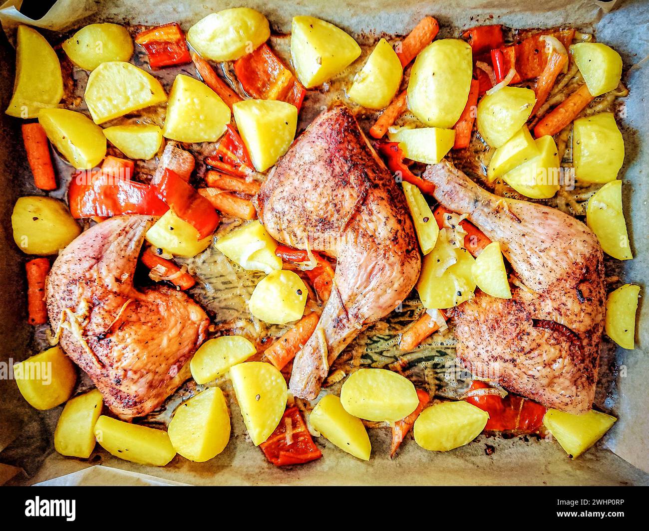 Animal three legs hi-res stock photography and images - Alamy