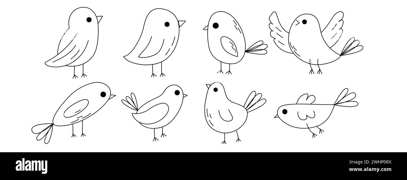 Hand drawn doodle birds on white background Stock Vector Image & Art ...