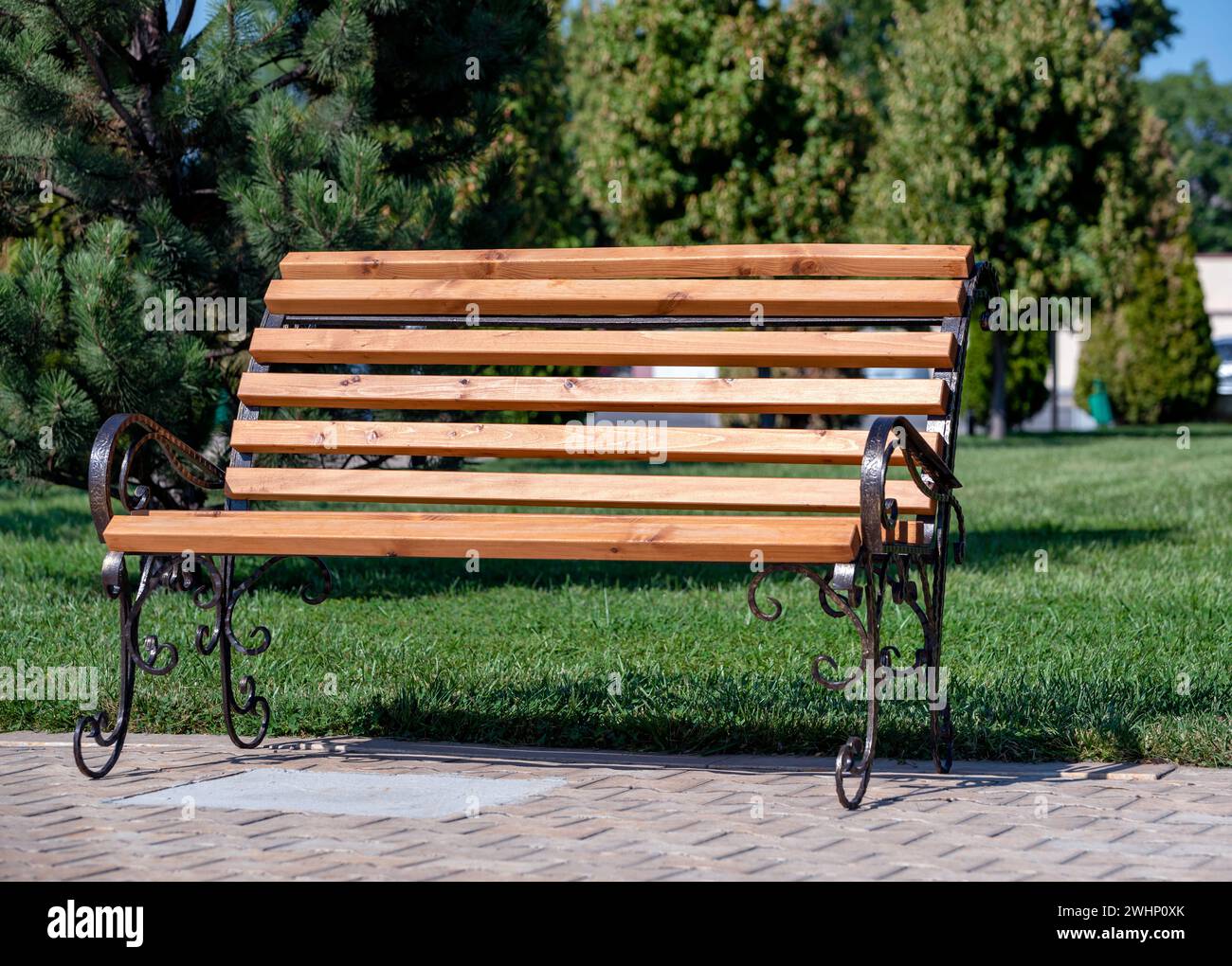Wooden bench and green trees in a city park without people Stock Photo ...