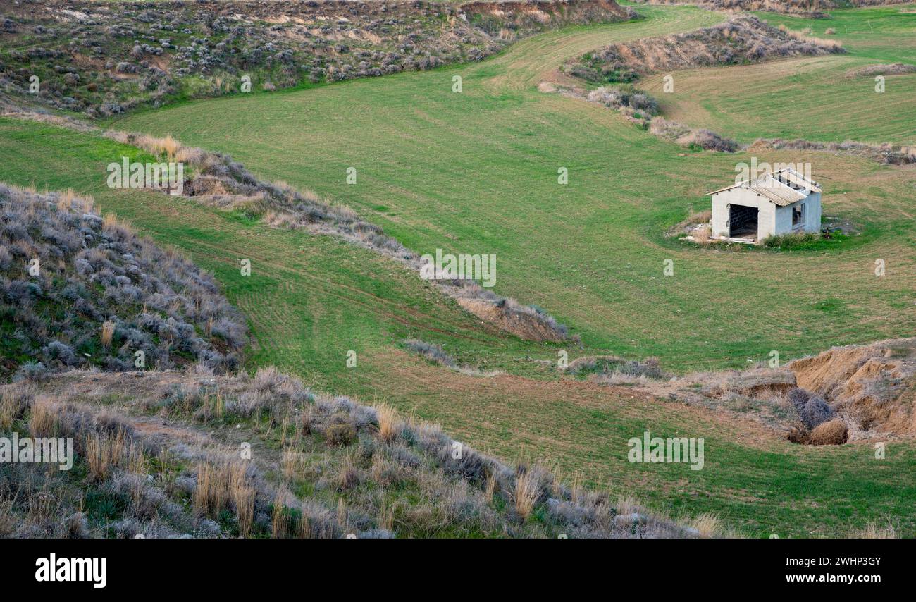Abandoned house in the countryside of cyprus. Agriculture green fields ...